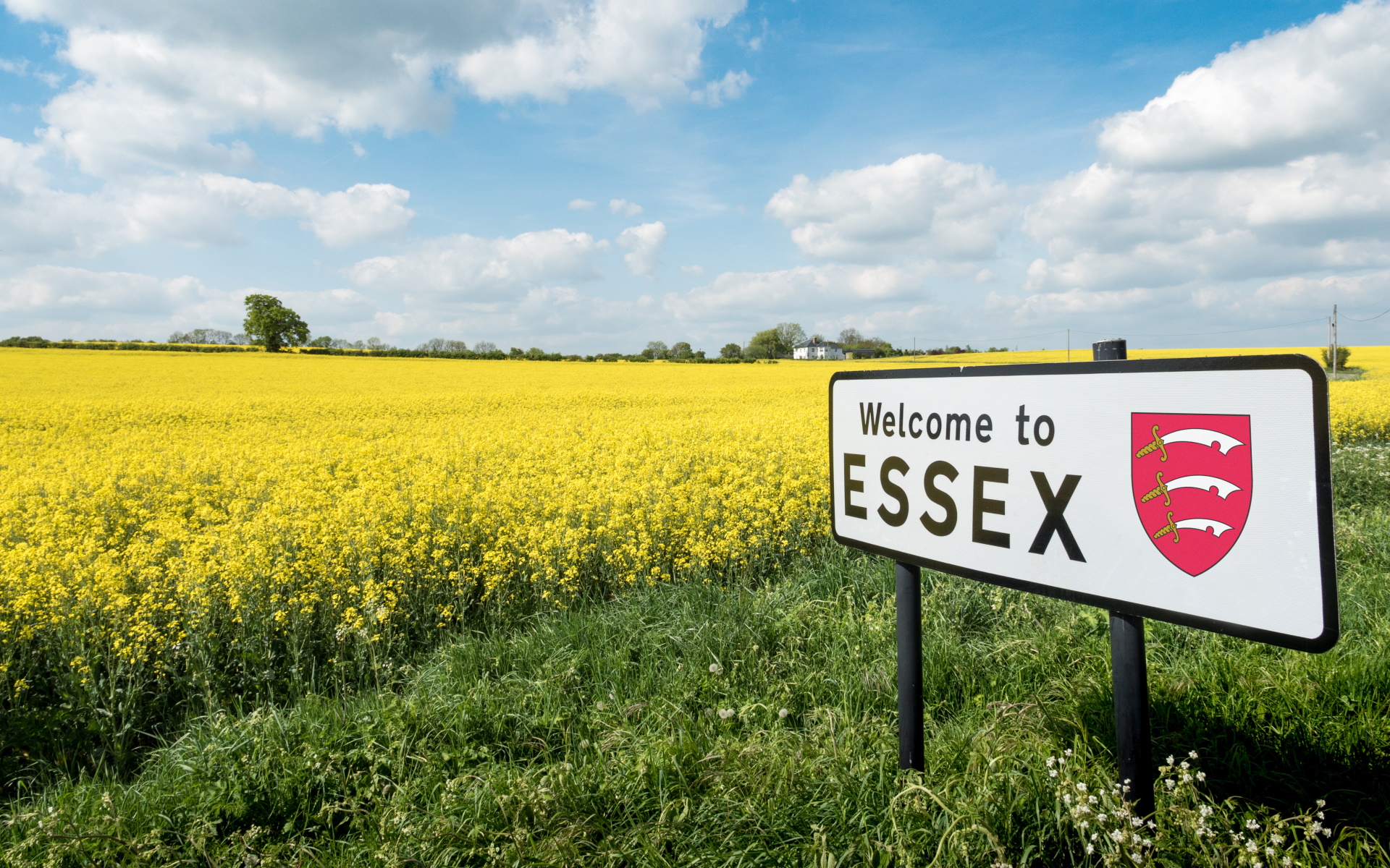 Climate, Environment & Customer Services - Everything you need to know ...